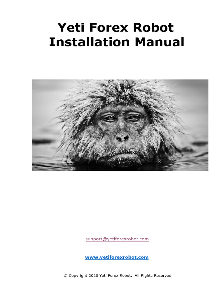 Yeti Forex Robot Manual | PDF | Futures Contract | Financial Risk