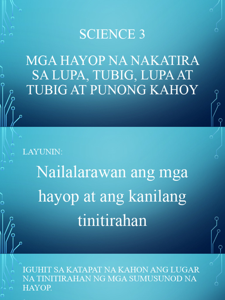 Mga Tirahan NG Hayop | PDF