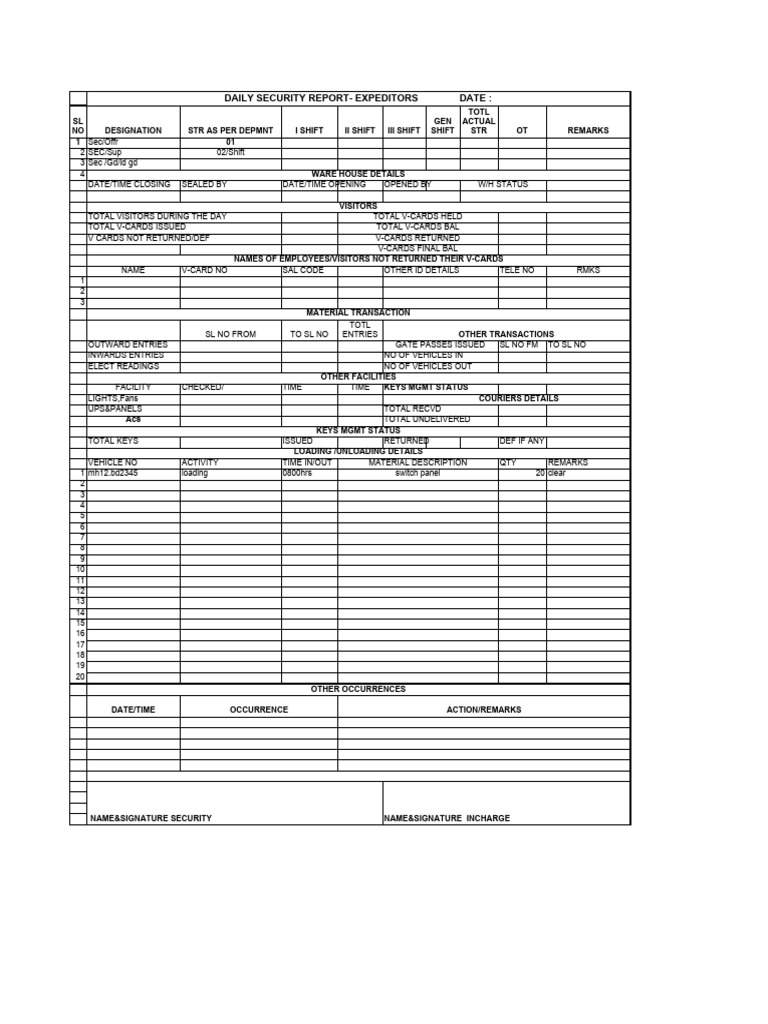 Daily Security Report Overview | PDF