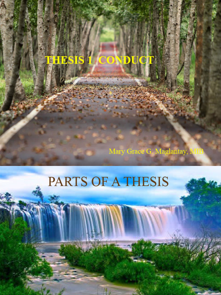 Essential Thesis Structure Guide | PDF | Computers