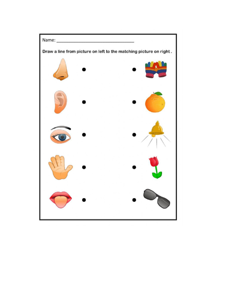 Five Senses KG2 | PDF