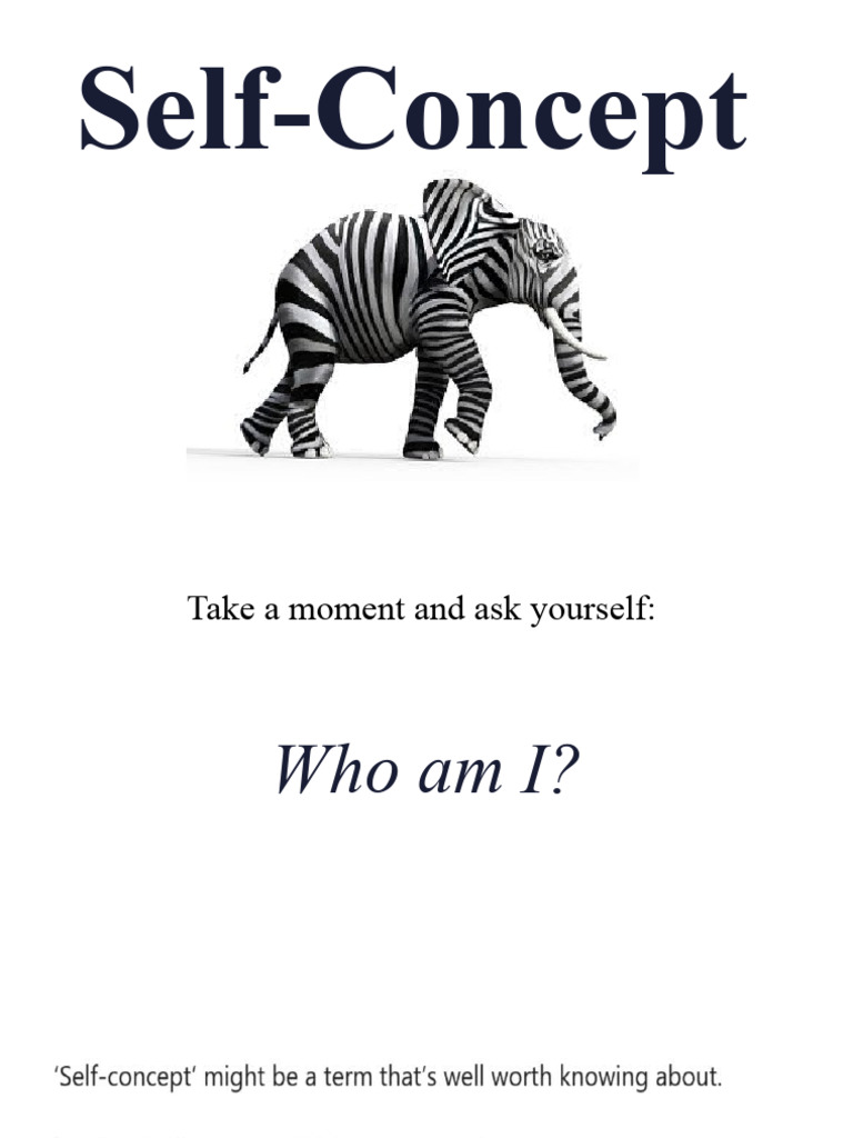 Understanding Self-Concept Components | PDF