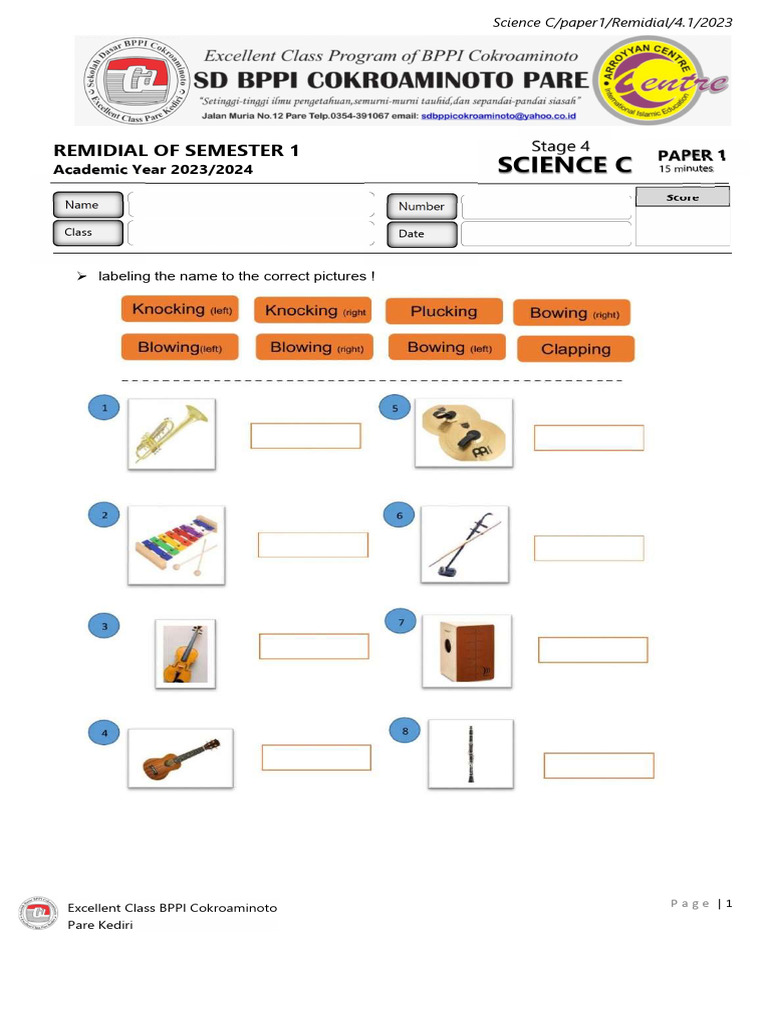 Semester 1 Science Remedial | PDF
