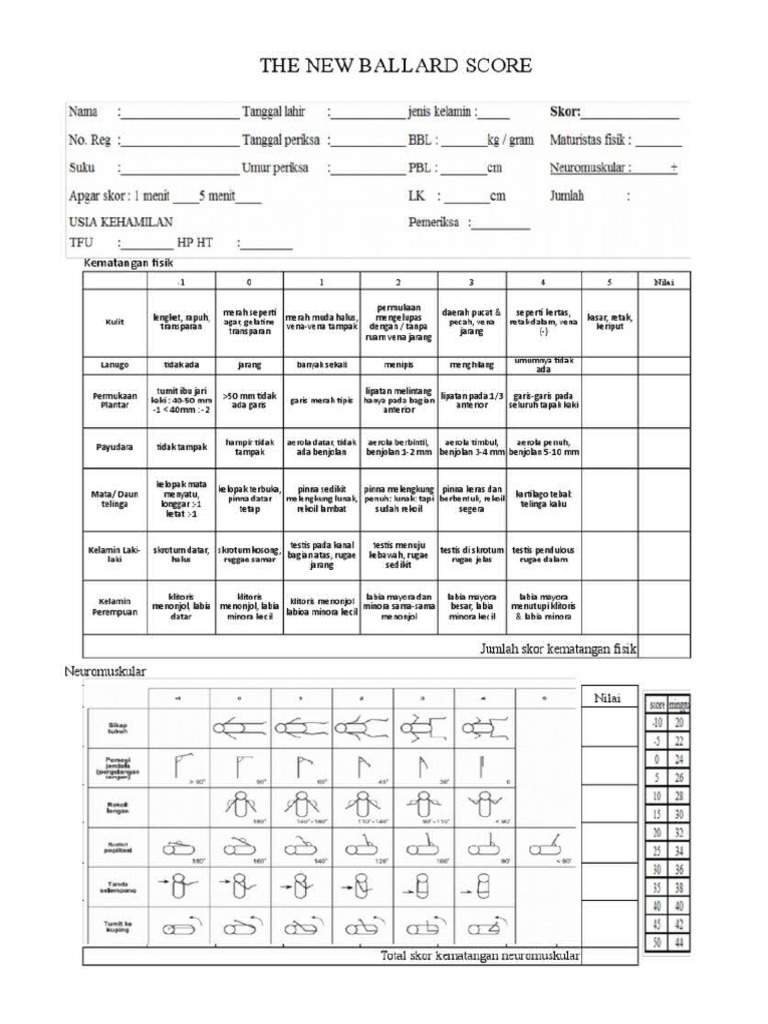 Form Ballard Score | PDF