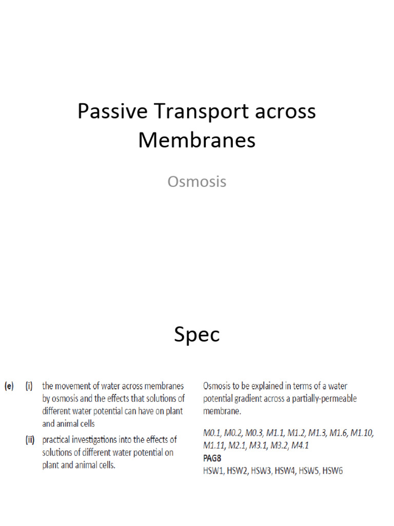 Water Potential And Osmosis Pdf Osmosis Chemistry