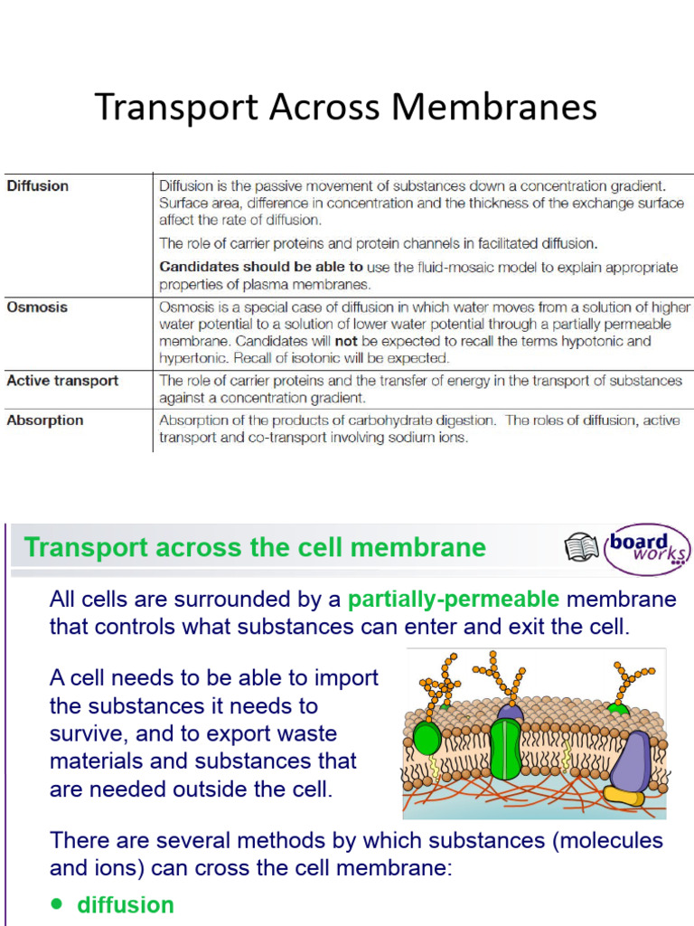 9 Transport Across Membranes | PDF | Osmosis | Cell Membrane