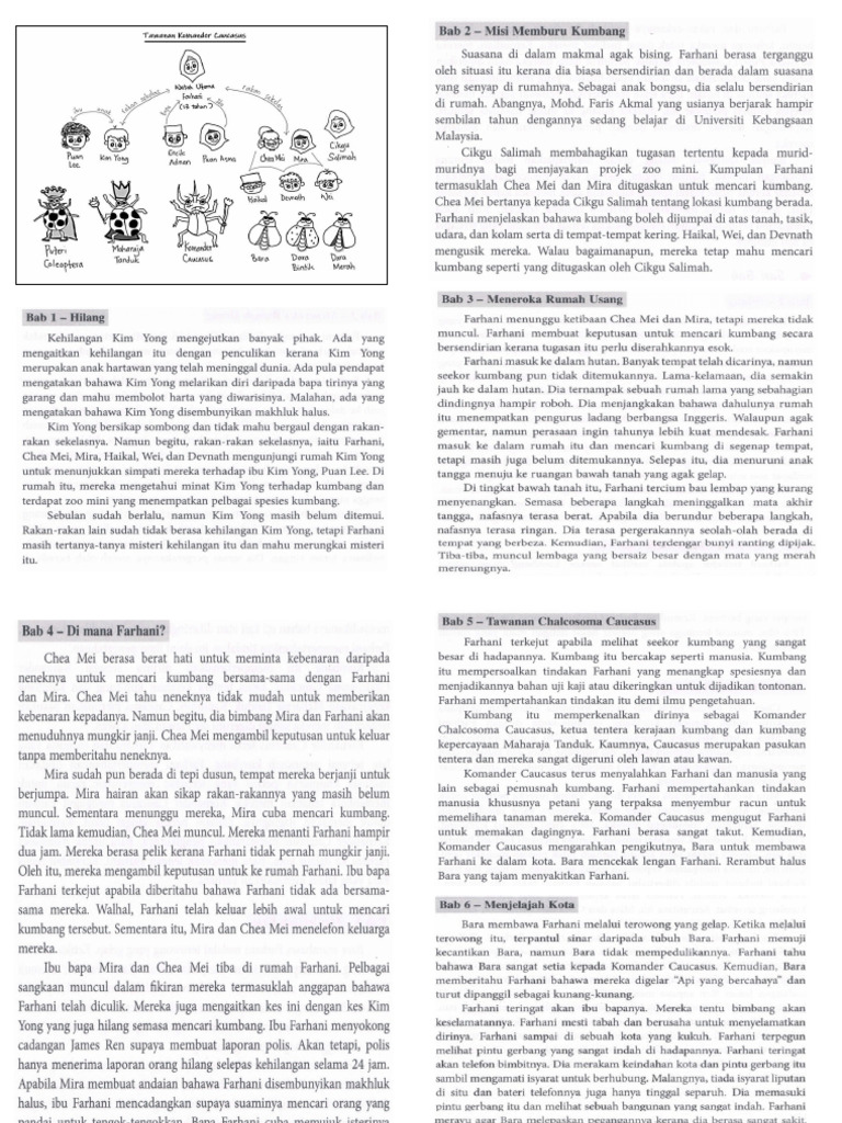 KUPASAN NOVEL T3 CAUCASUS | PDF