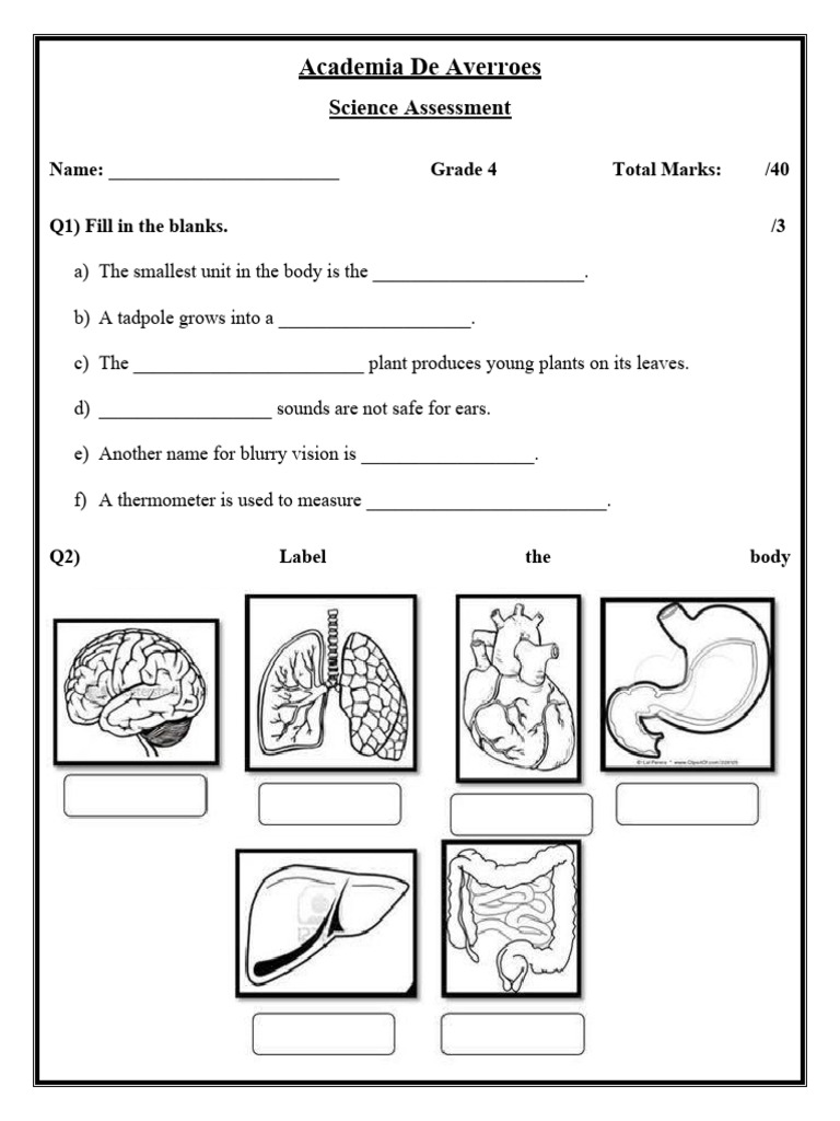 Grade 4 Science Assessment | PDF