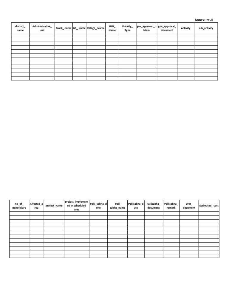 DMF_Project_management_template-2 | PDF