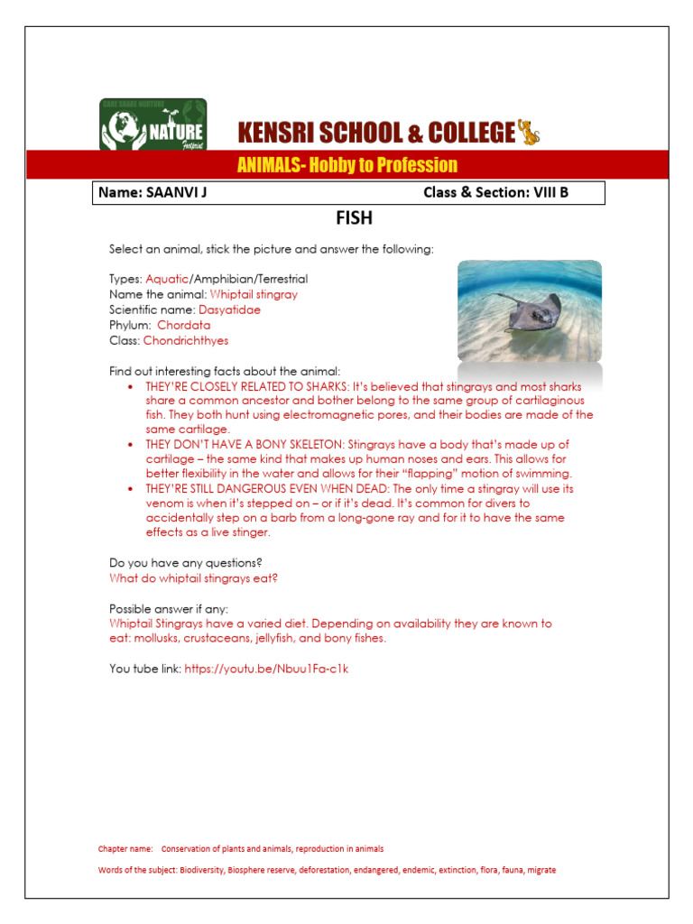 Fish Application Sheet - Whiptail Stingray | PDF | Home & Garden | Wellness