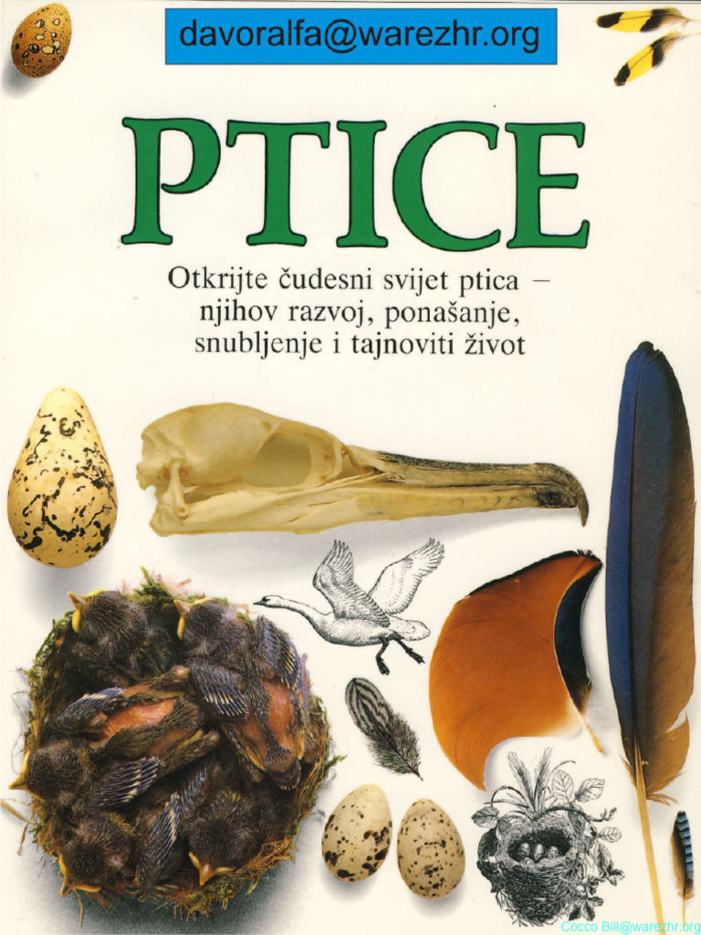 David Burnie - Ptice | PDF