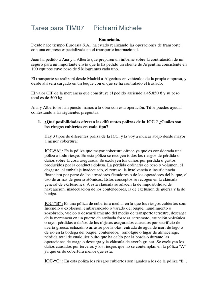 Pichierri Michele TIM07 Tarea | PDF