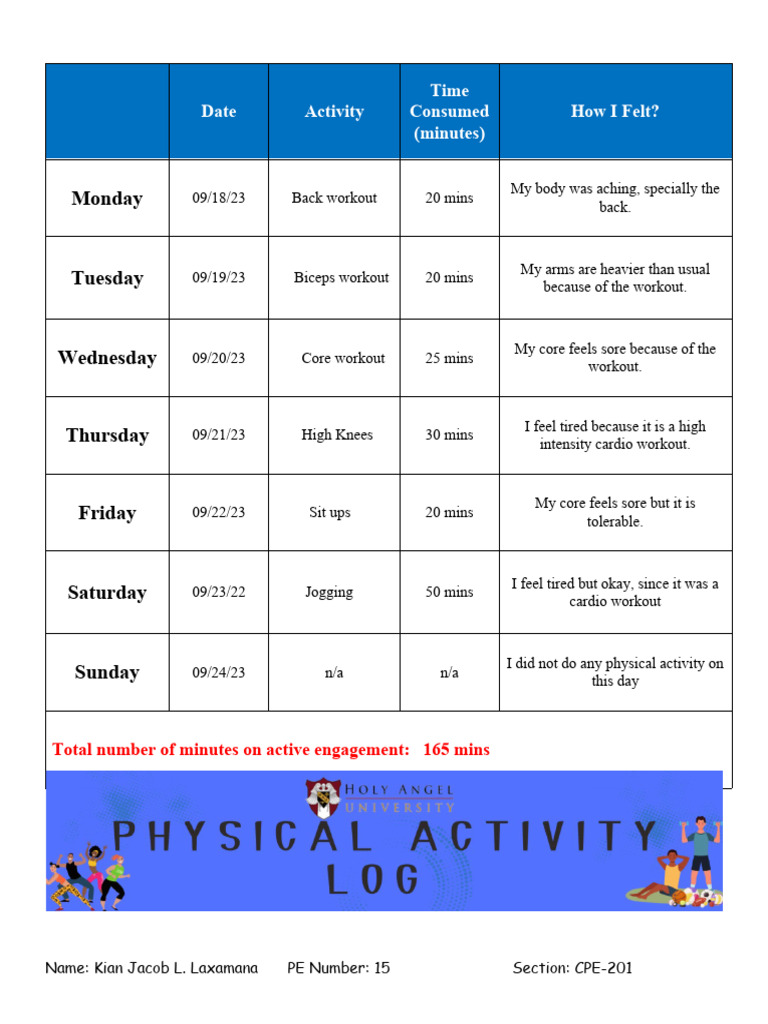 PA Log Template | PDF
