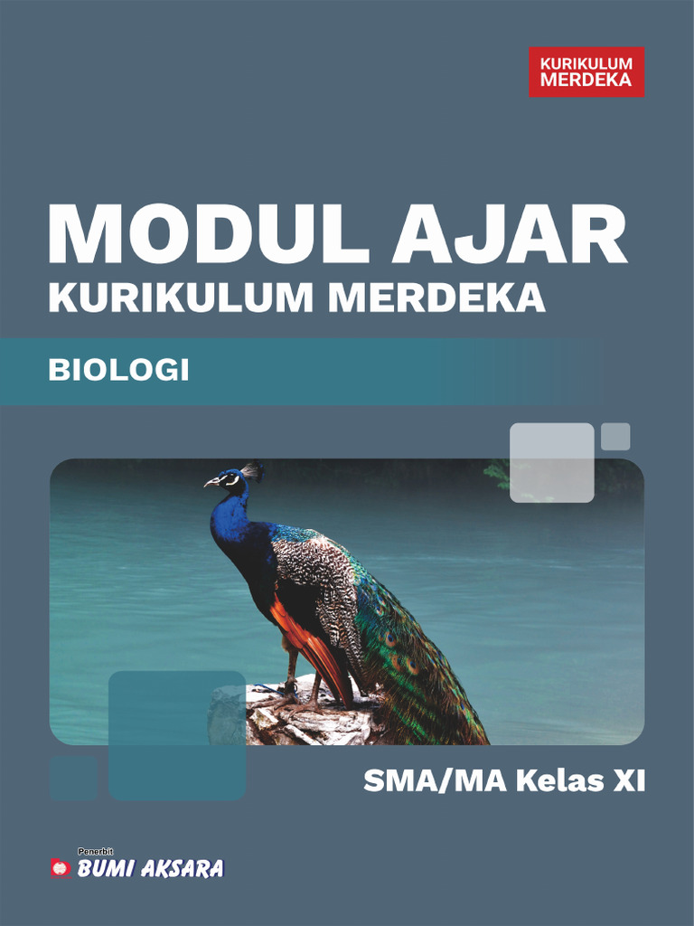 Modul Ajar Kelas XI Kurmer-1-9 | PDF Modul Ajar Kelas XI Kurmer-1-9 | PDF