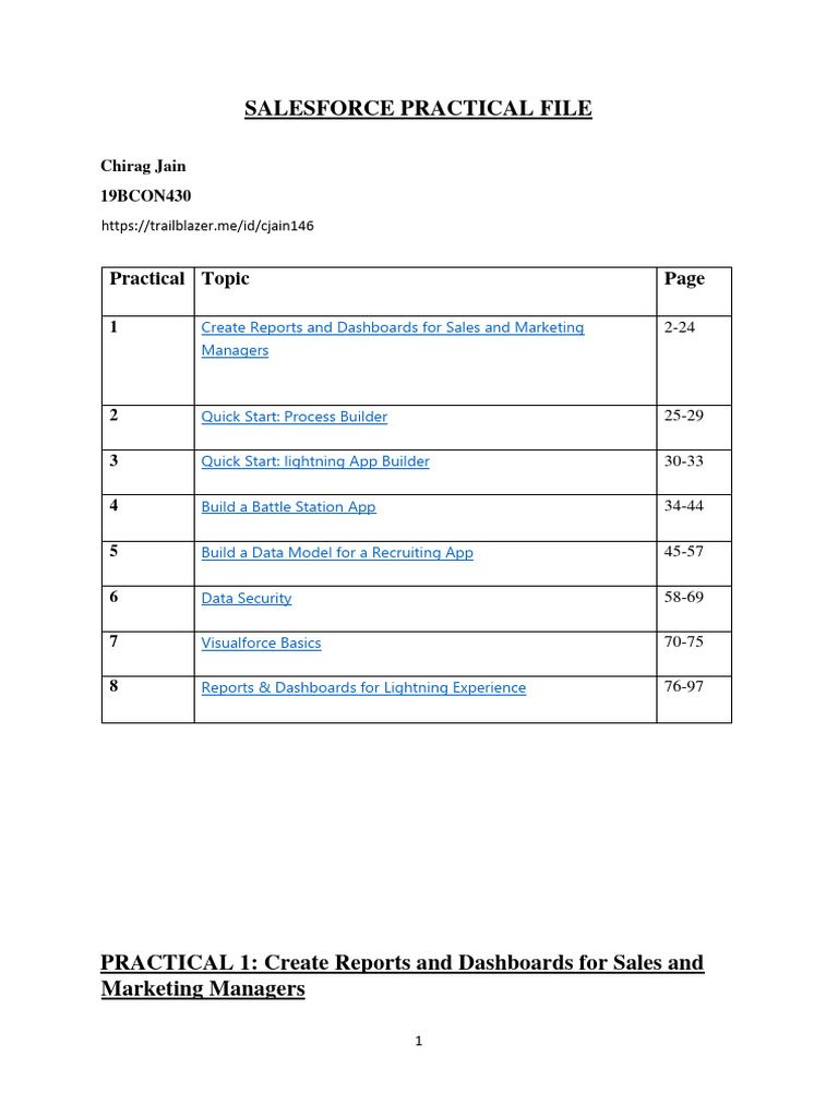 SALESFORCE PRACTICAL FILE | PDF