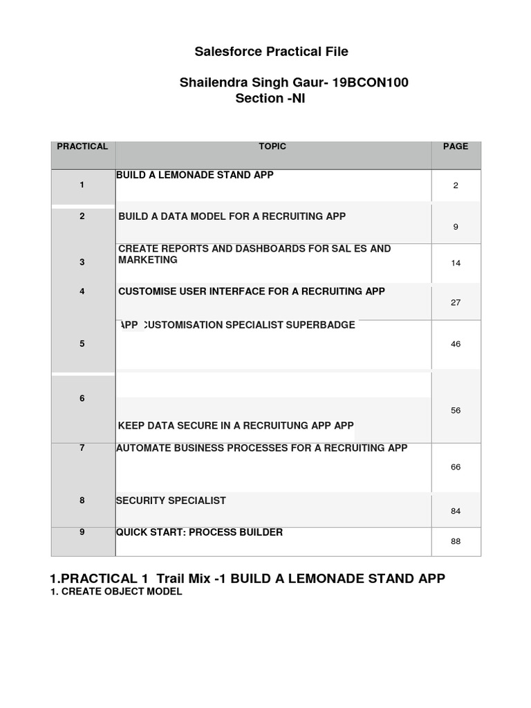Salesforce Practical File Guide | PDF | Computers
