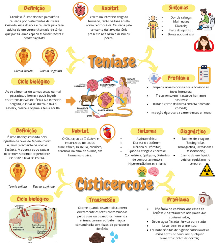 Teníase e Cisticercose: Mapa Mental | PDF | Epidemiologia | Causas de morte