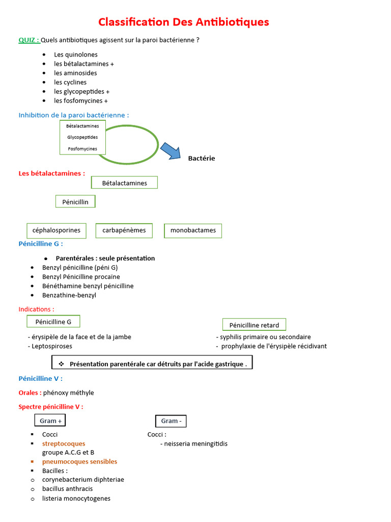 Classification Des Antibiotiques | PDF