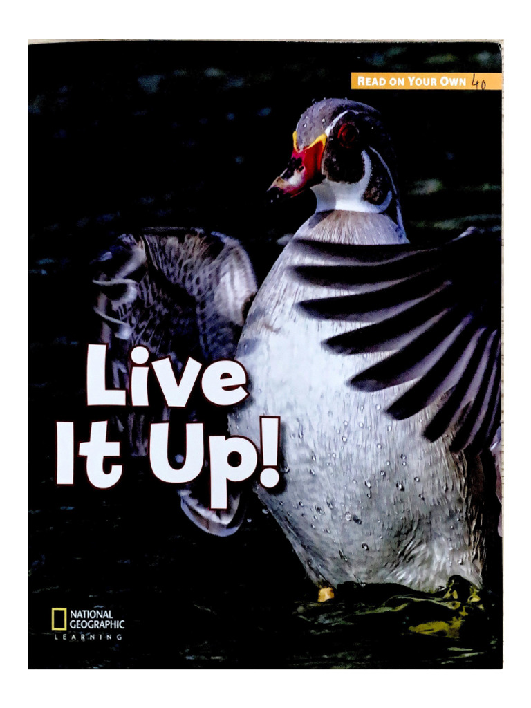 Live It Up | PDF