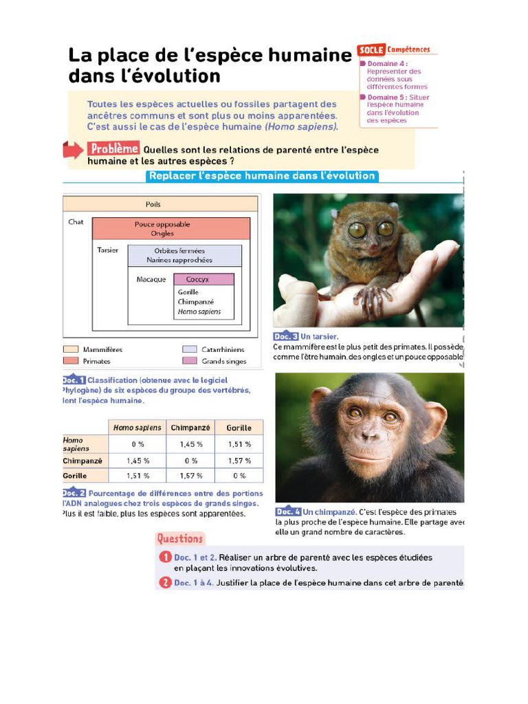 Activité 2 Et 3 La Place de L'espèce Humaine Dans L'évolution (1) Les ...