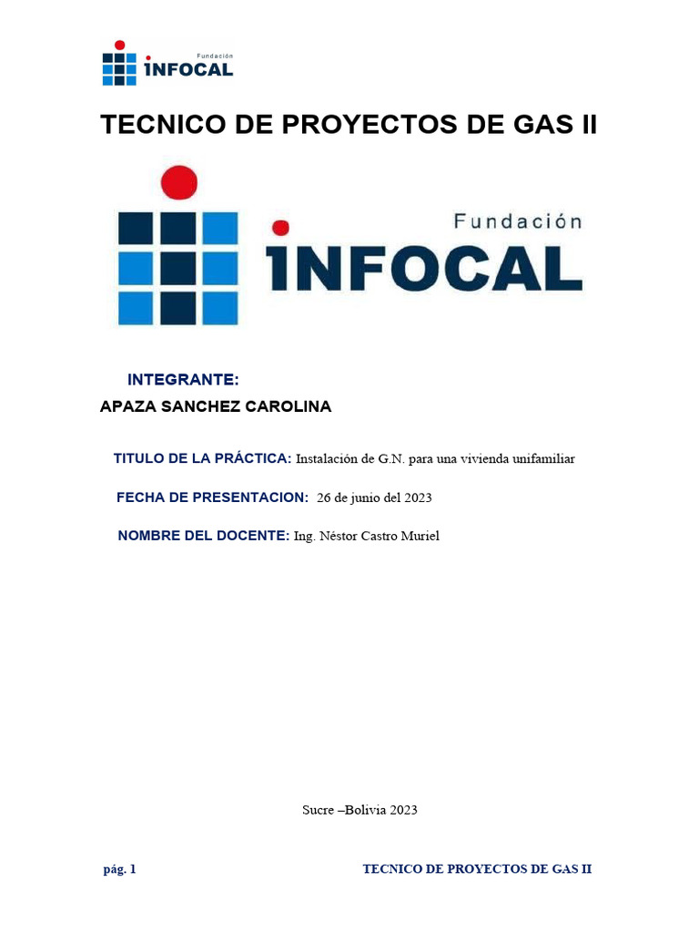 Proyecto Individual Final APAZA SANCHEZ CAROLINA | PDF