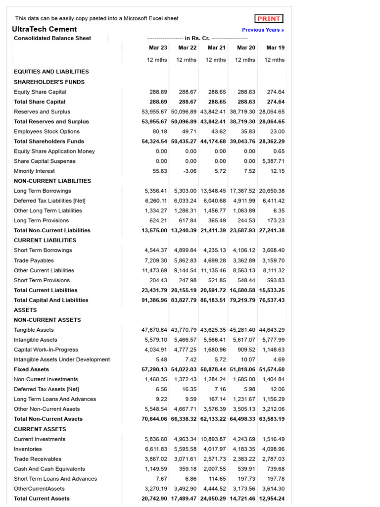 Balance Sheet | PDF | Equity (Finance) | Balance Sheet