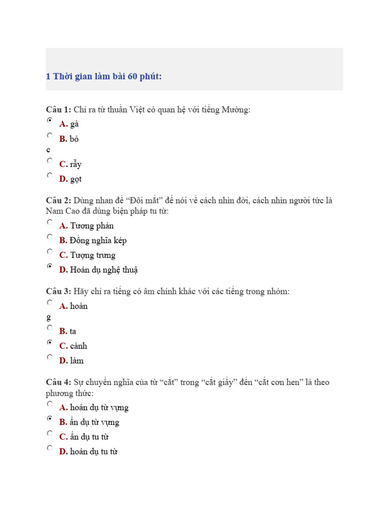 Tieng Viet | PDF