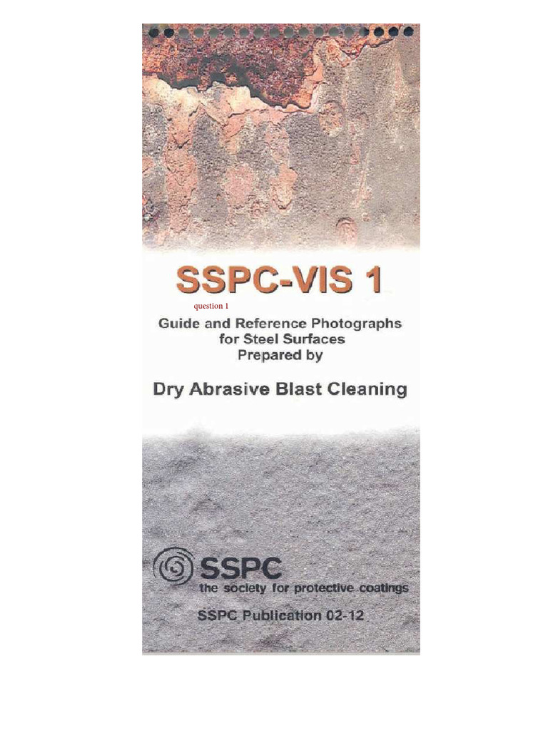 SSPC Vis 1 Final | PDF