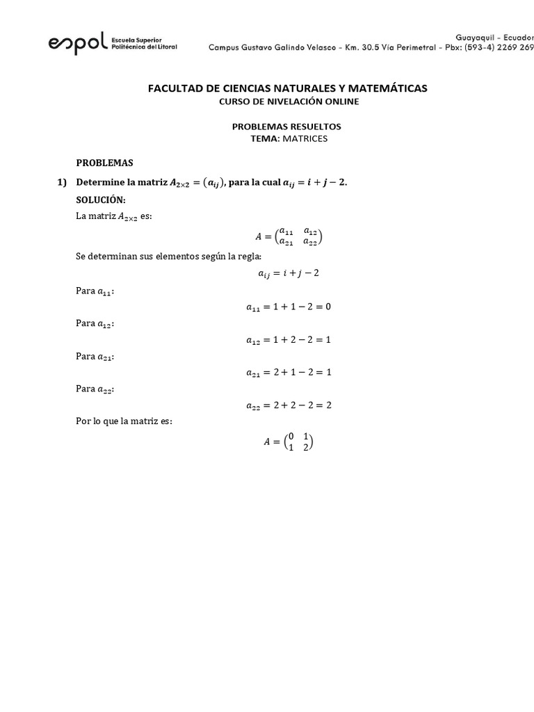 Capítulo 6 Problemas Resueltos de Matrices | PDF | Matriz (Matemáticas) | Determinante