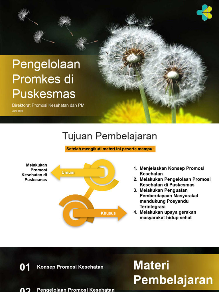 V9 - Pengelolaan Promkes Di Pusk - Tugsus - 2023 | PDF | Pengembangan Diri | Sains & Matematika