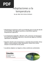 Ficha Técnica Del Pasto Imperial (Axonopus Scoparius, Hitchc) | PDF ...