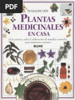 100 Plantas Medicinales | PDF