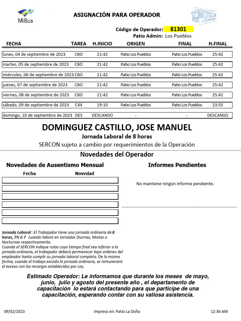 Dominguez Castillo, Jose Manuel: Novedades Del Operador | PDF