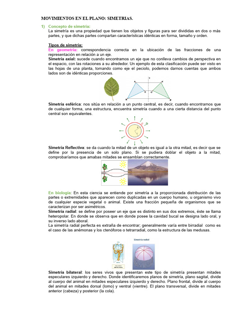 Movimientos en El Plano Simetria | PDF