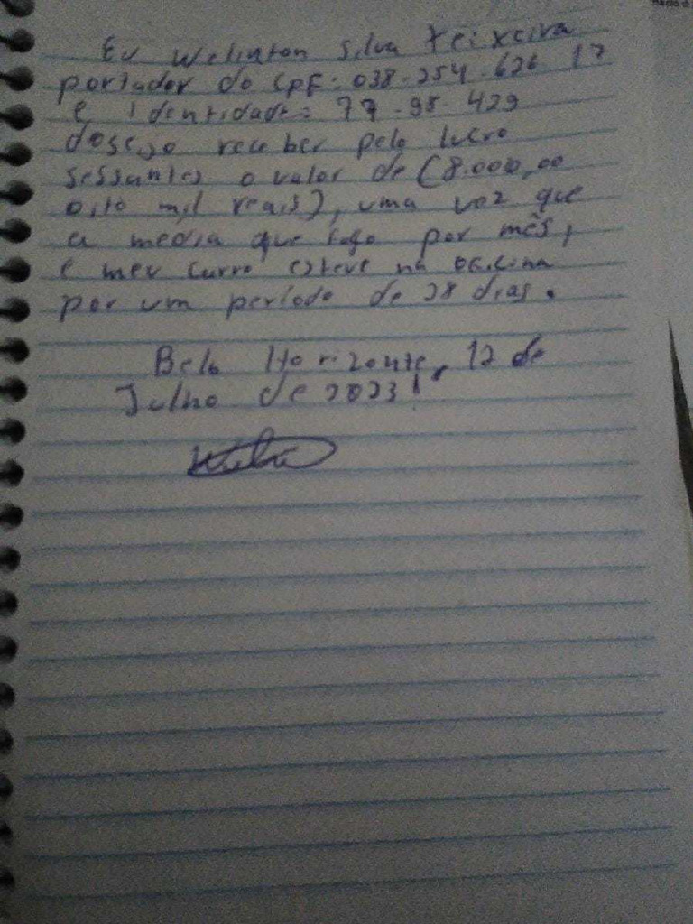 Carta de Proprio Punho | PDF