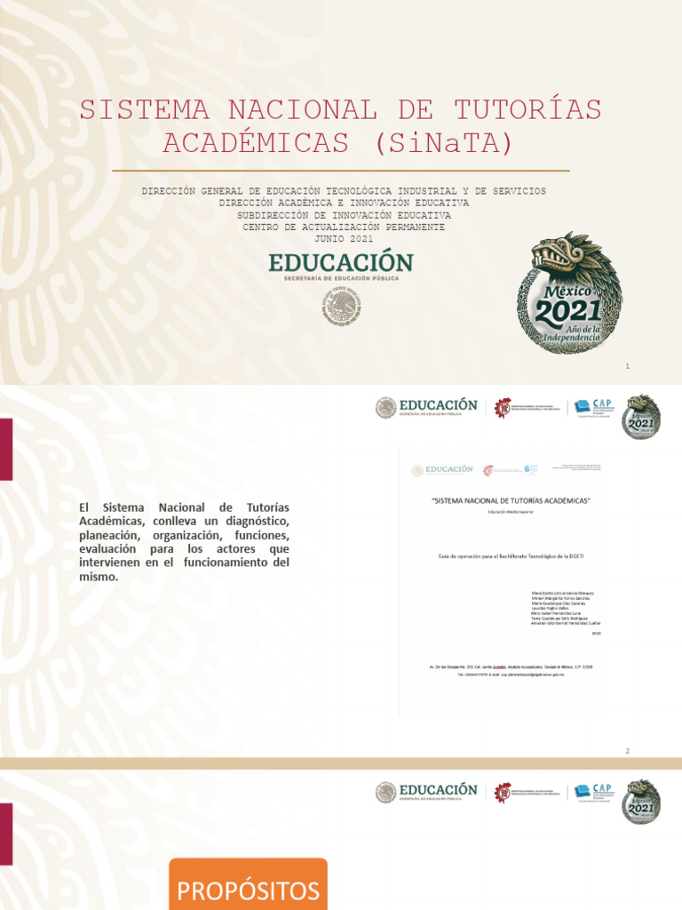 Presentacion SiNaTA Fase 3 | PDF