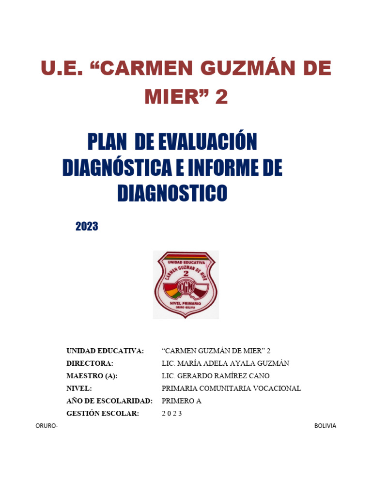 Plan e Informe de Diagnotico 2023 | PDF