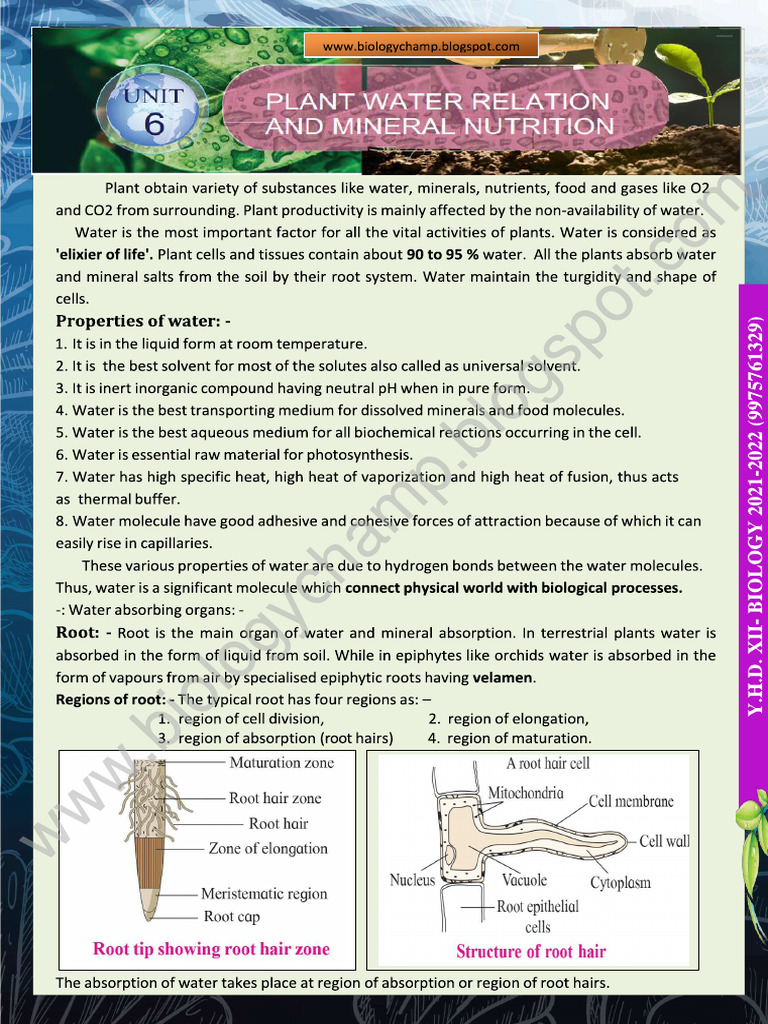 06 - Plant Water Relation. | PDF
