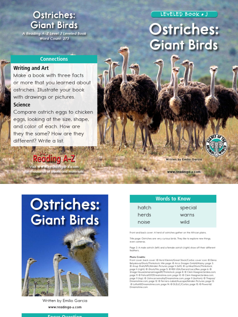 J Ostriches Giant Birds | PDF