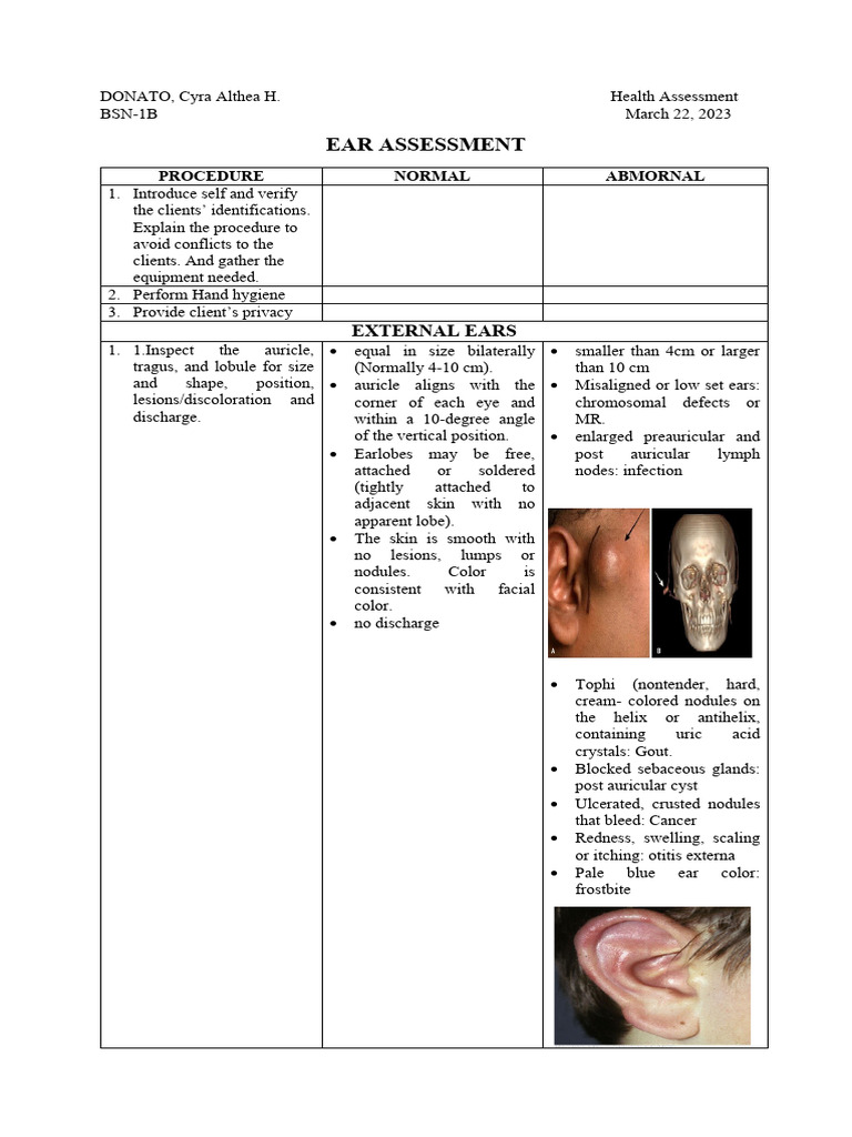 Ear Assessment | PDF