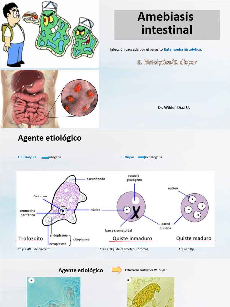 Amebiasis: Diagnóstico y Tratamiento | PDF | Sistema inmune | Medicina