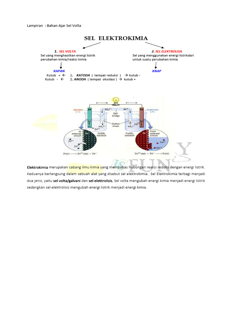 LKPD Sel Volta | PDF