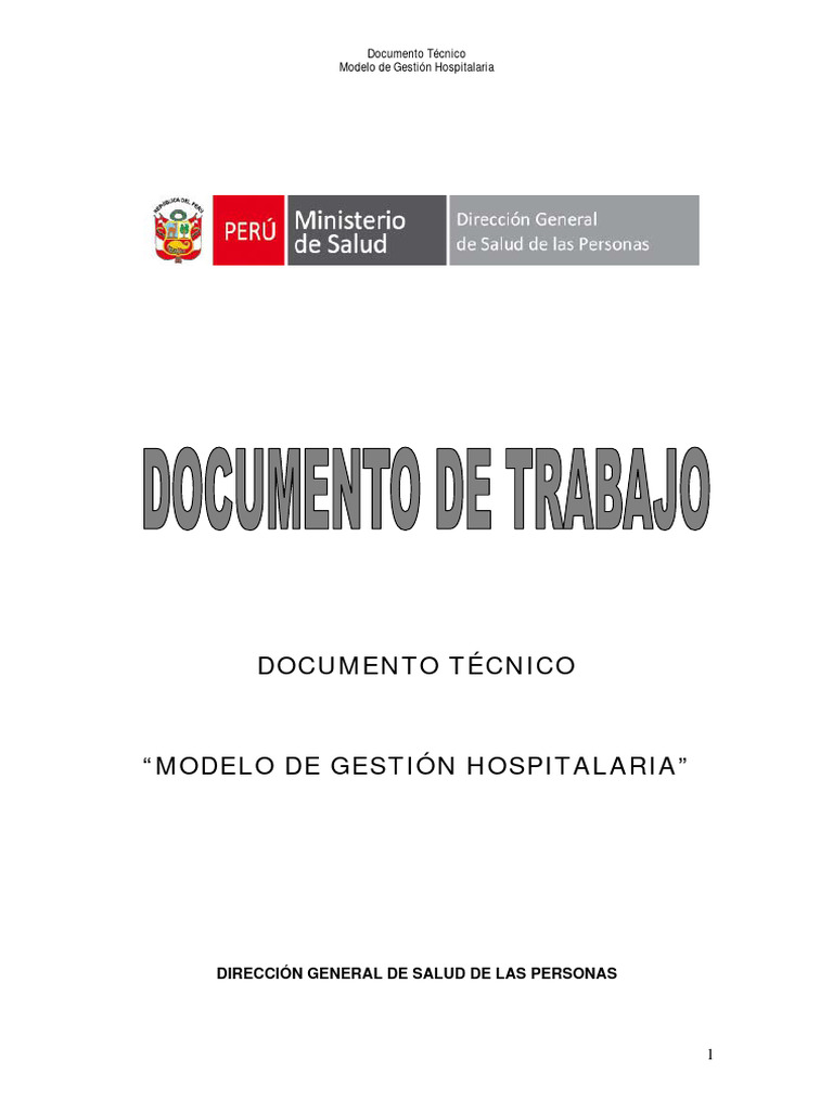 Modelo de Gestión Hospitalaria | PDF