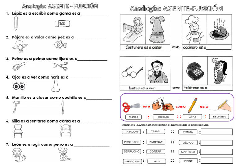 ANALOGÍAS agente funcion | PDF