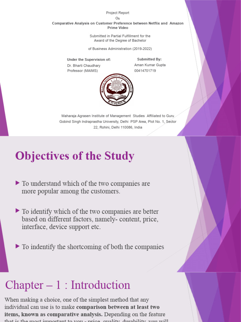 Final PPT Project Report | PDF | Netflix | Service Industries