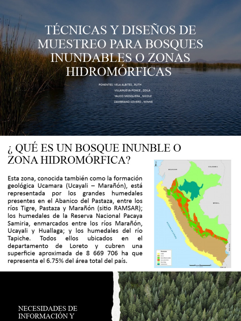 Técnicas de Muestreo en Bosques Inundables | PDF