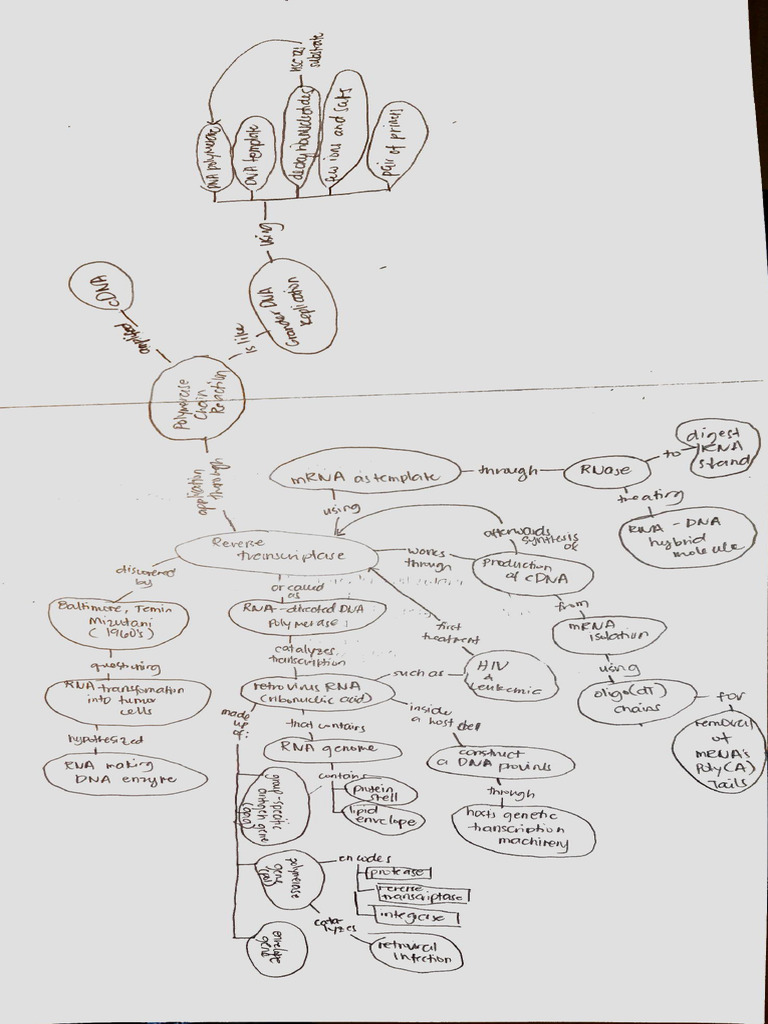 RT-PCR Concept Map | PDF