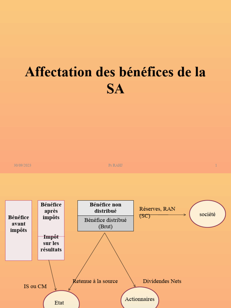 Affectation des bénéfices en SA | PDF