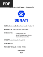 Actividad 2 Ejemplos de Matriz Peyea | PDF