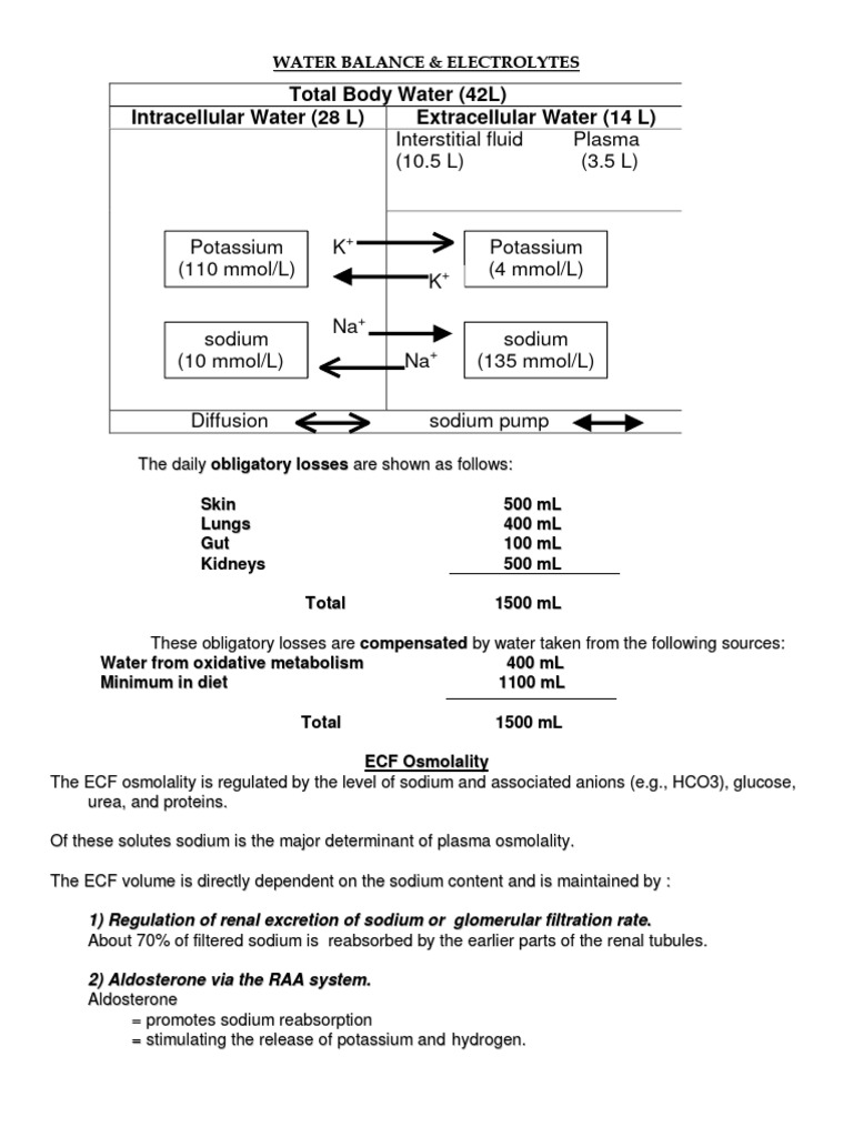 Water Balance and Electrolyte Losses | PDF | Angiotensin | Endocrine System